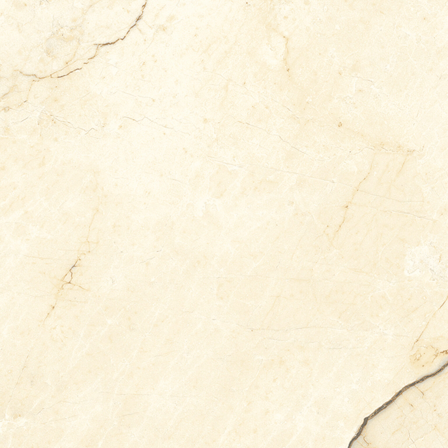 Porcelain Tile – Square Surfaces