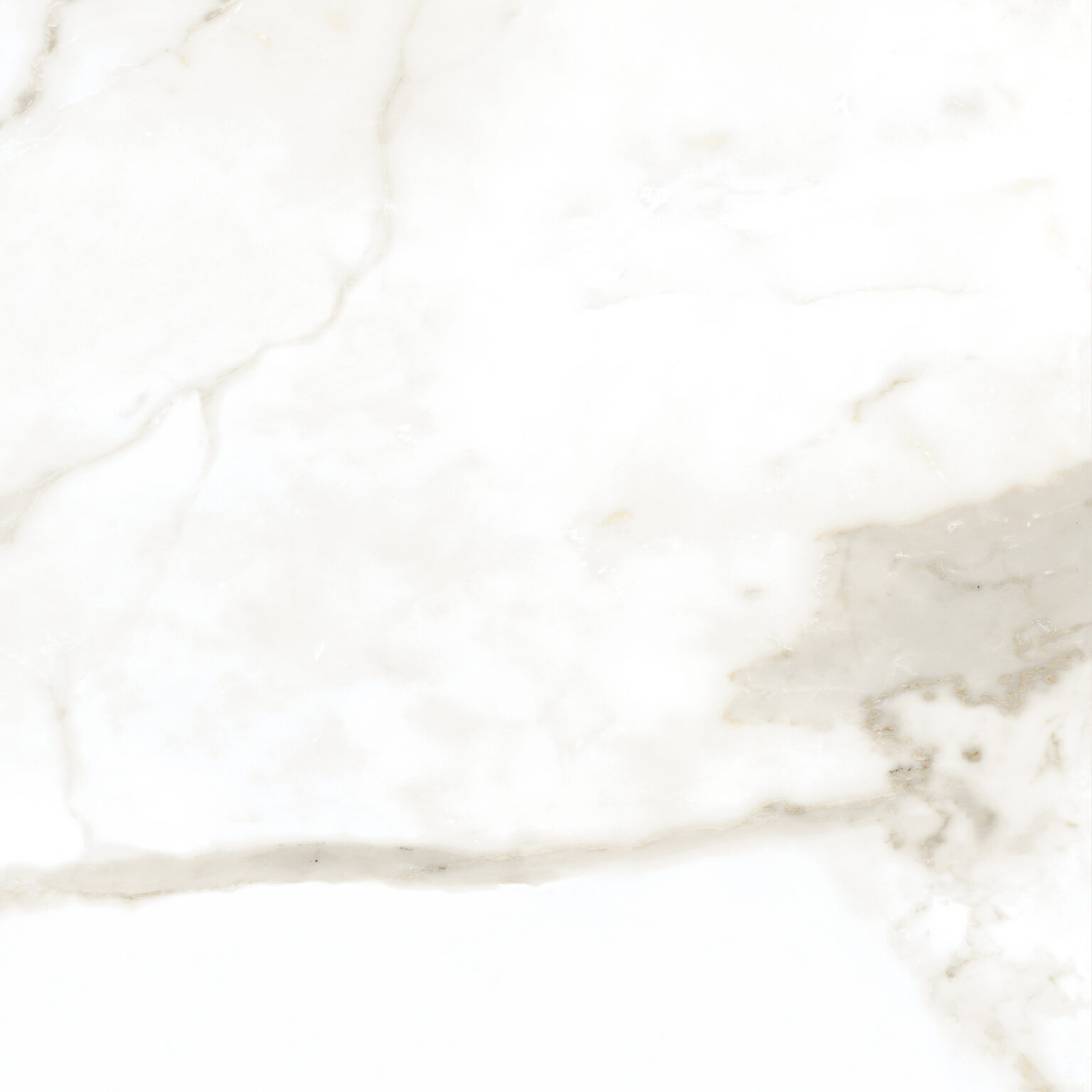 Calacatta Zebra – Square Surfaces