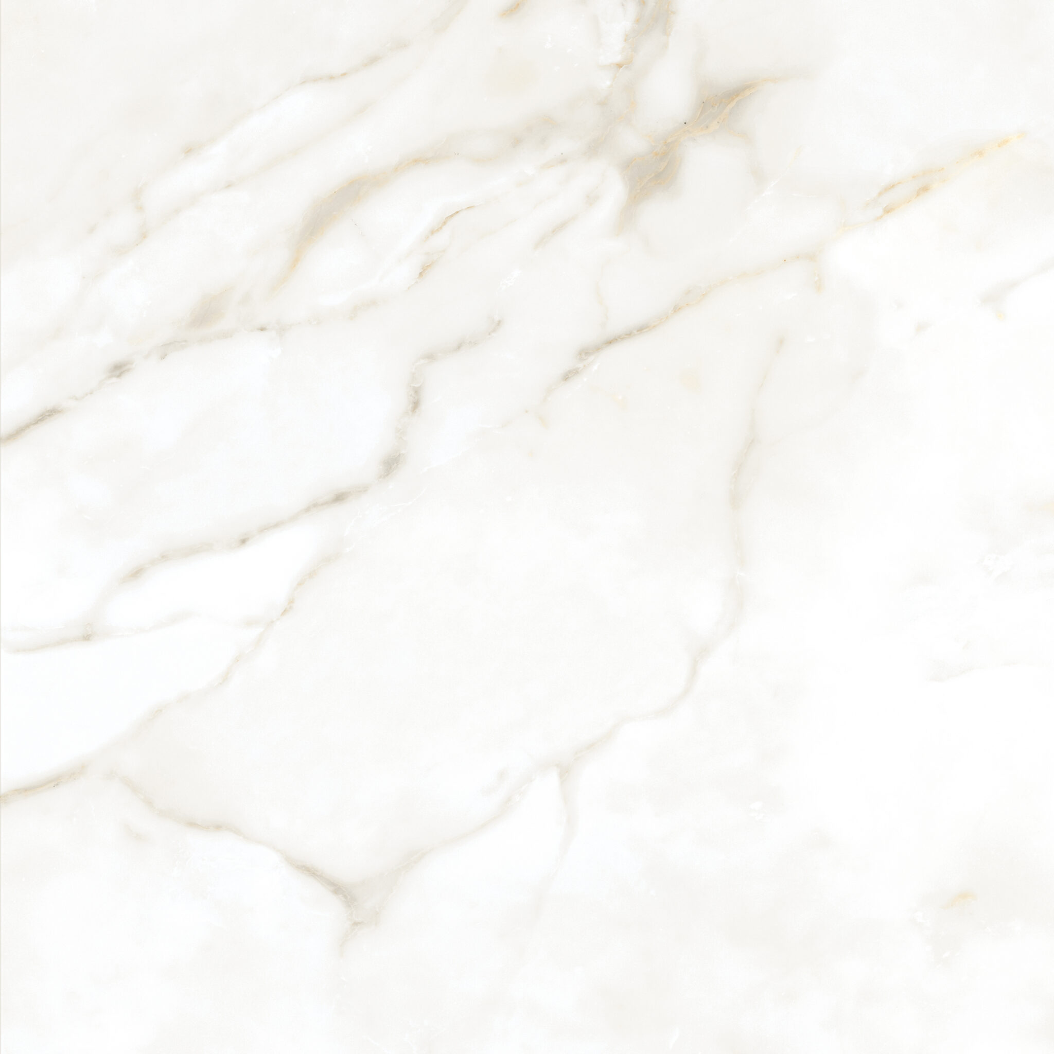 Calacatta Zebra – Square Surfaces