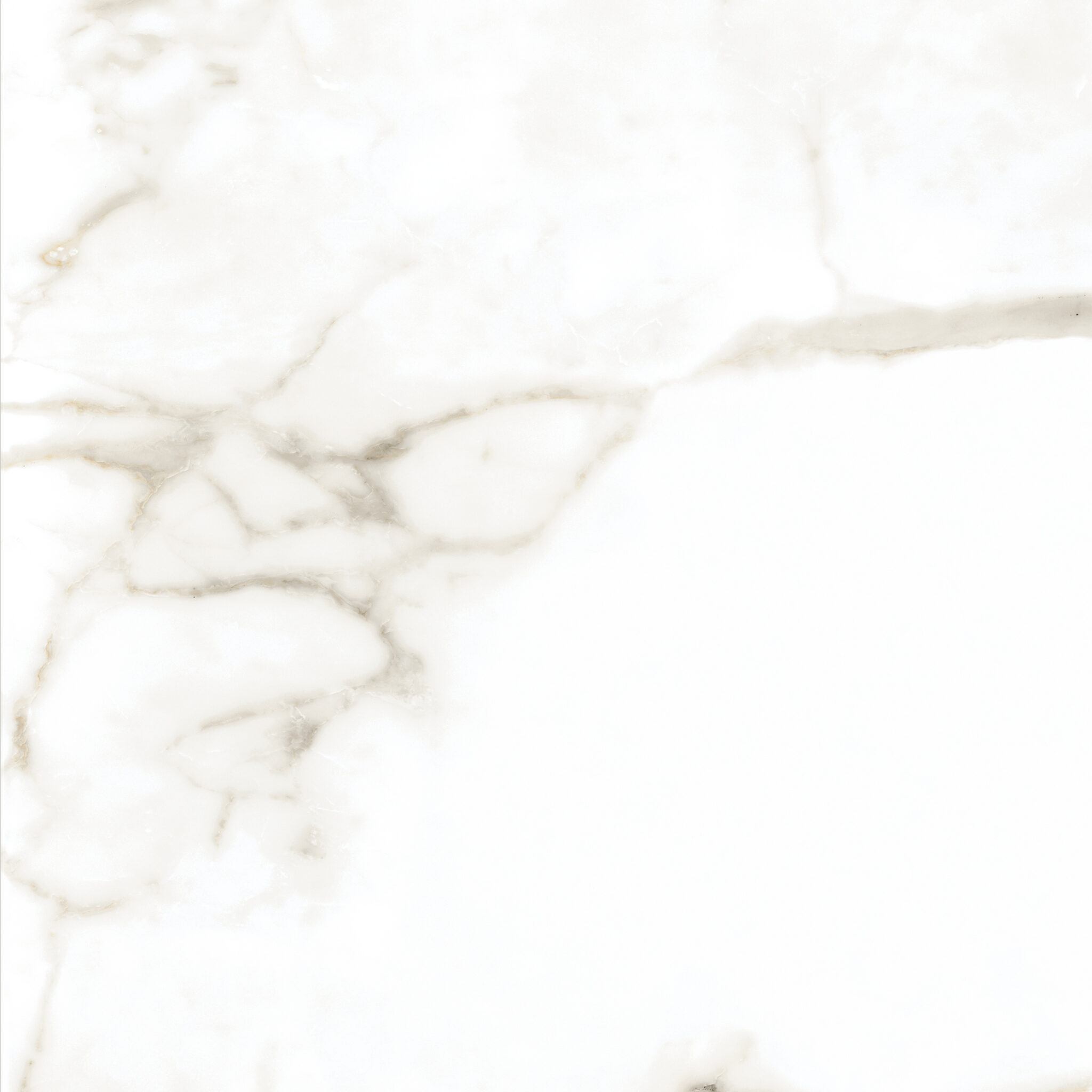 Calacatta Zebra – Square Surfaces